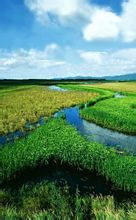 Vleilande - Bladsye [2] - Wêreld ensiklopediese kennis