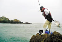 Visvang - Bladsye [4] - Wêreld ensiklopediese kennis